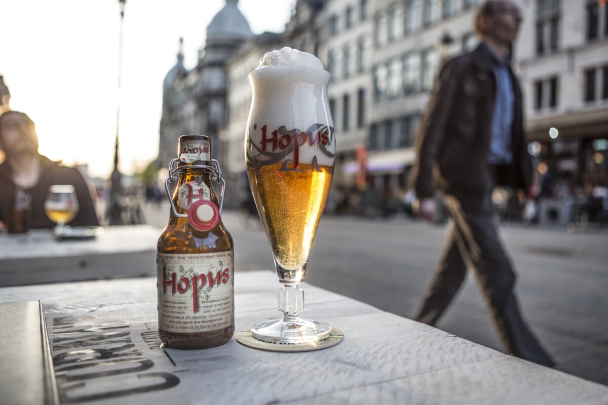 Klassieker Hopus • Bière Grand Cru